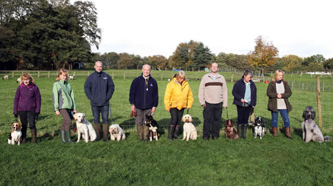Dog Behaviourist and Dog Training Cheshire and Manchester