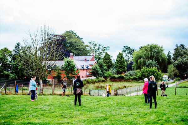 Dog Training Cheshire and Manchester Dog Behaviourist | Damian Riley